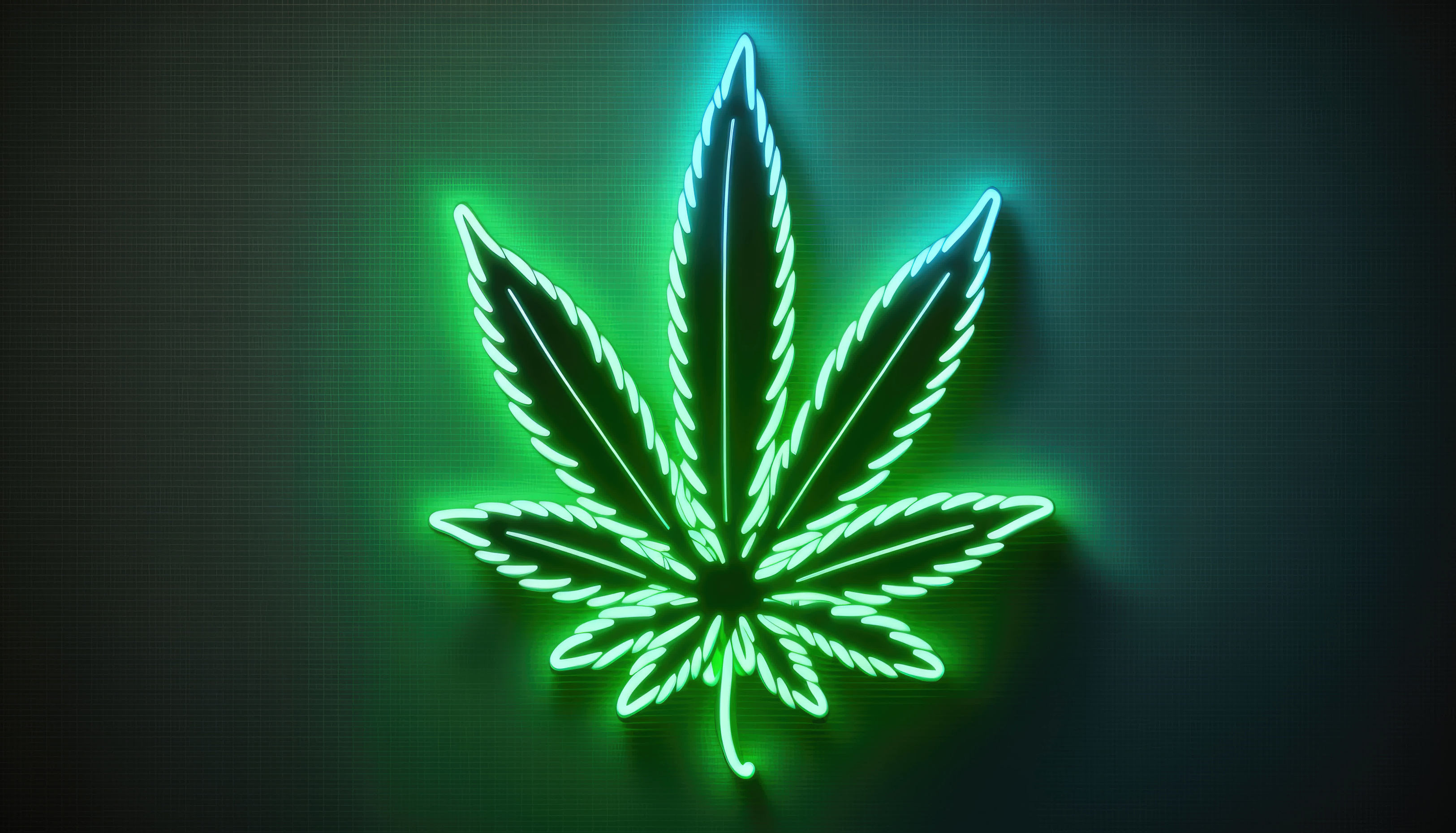 Do THC Drinks Get You High? (The Real Answer + What to Expect) – Zentopia