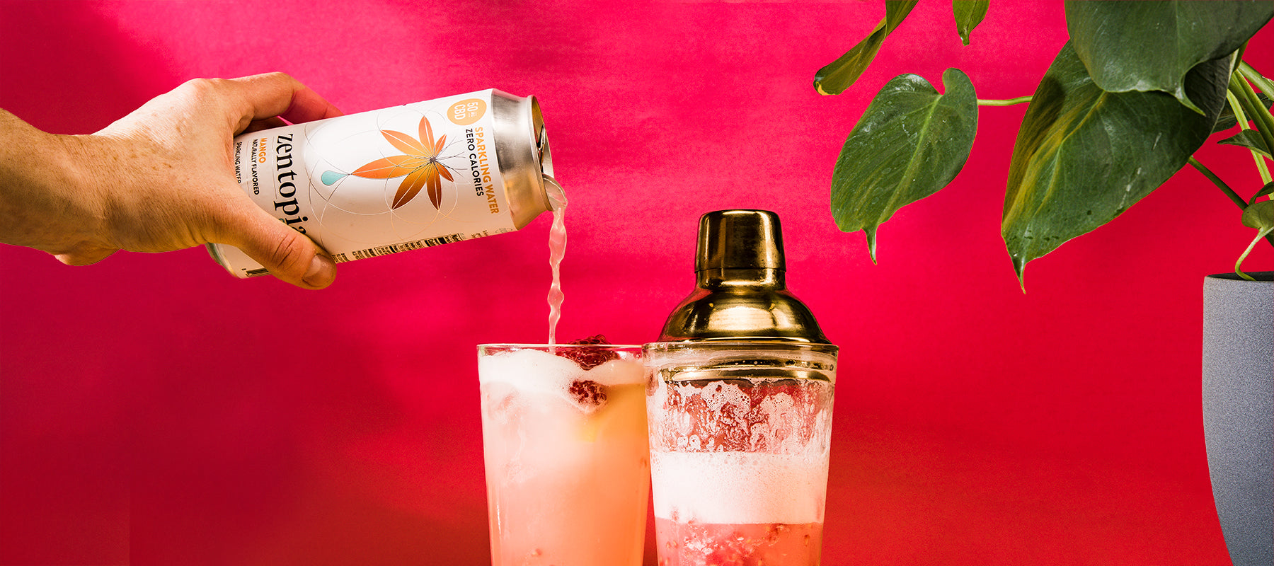 Raspberry Formosa Fizz Mocktail Recipe – Zentopia